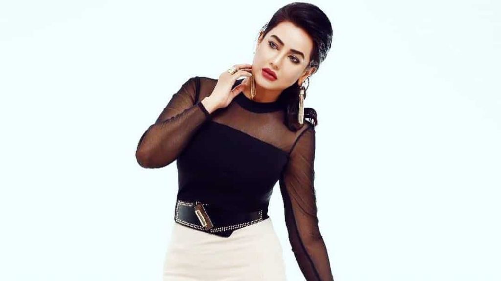 Damsa (ARY Digital) Drama Series Analysis: Story, Episodes, Cast ...