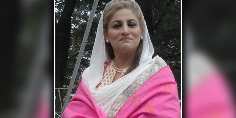 Damsa (ARY Digital) Drama Series Analysis: Story, Episodes, Cast ...