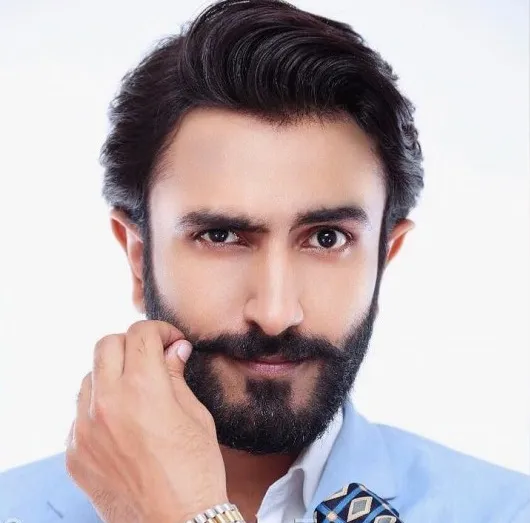 Pardes (ARY Digital) Drama Series Analysis: Story, Episodes, Cast, Actors Salary, Timing ...