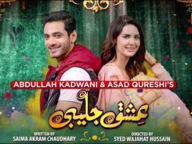 Baandi (Hum TV) Drama Series Analysis: Story, Episodes, Cast, Actors ...