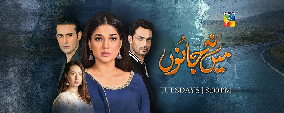 Mein Na Janoo (Hum TV) Drama Series Analysis: Story, Episodes, Cast ...
