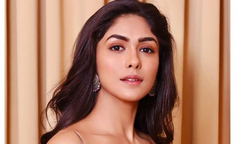 Mrunal Thakur Biography, Height, Age, TV Serials, Husband, Family ...