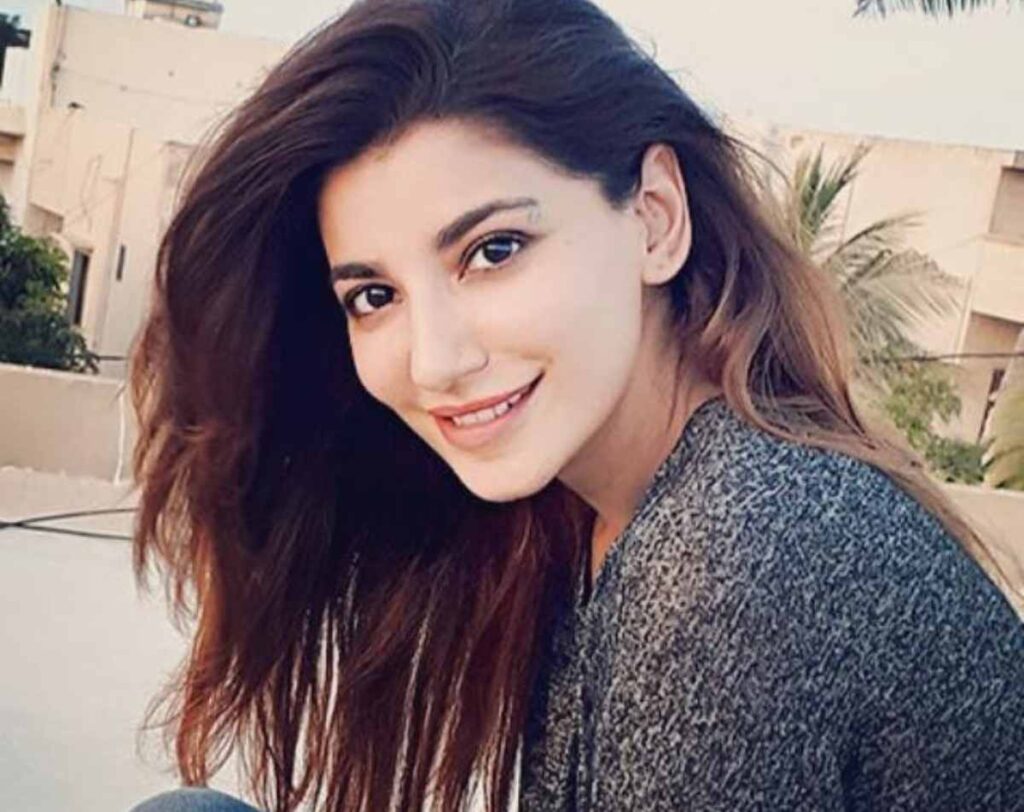 Paristan ( HUM TV) Drama Series Analysis: Story, Episodes, Cast, Actors ...
