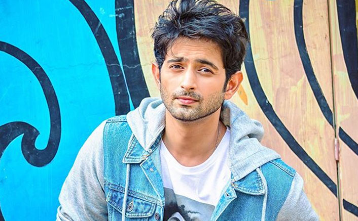 Ishaaron Ishaaron Mein Serial Cast, Real Names, Age, Salary, Net Worth ...
