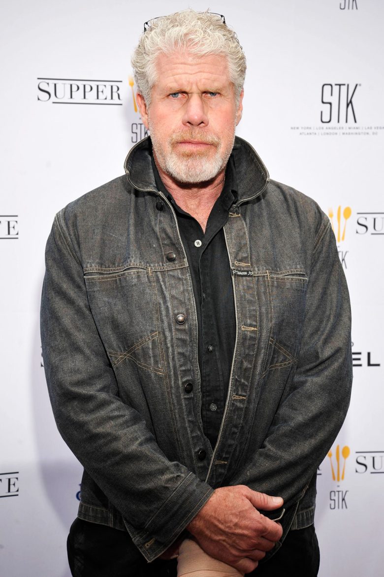 Ron Perlman Biography, Height, Weight, Age, Movies, Wife, Family ...