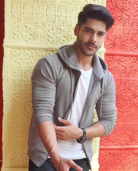 Simba Nagpal Biography, Height, Age, TV Serials, Wife, Family, Salary ...