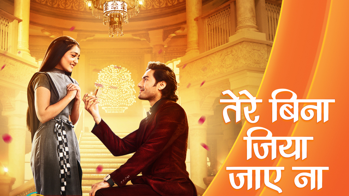 Tere Bina Jiya Jaye Na Serial Cast, Real Names, Age, Salary, Net Worth ...