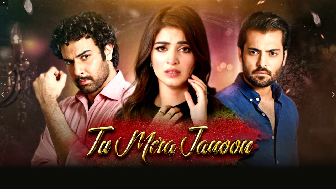 Tu Mera Junoon (Geo Entertainment) Drama Series Analysis: Story, Episodes, Cast, Actors Salary ...